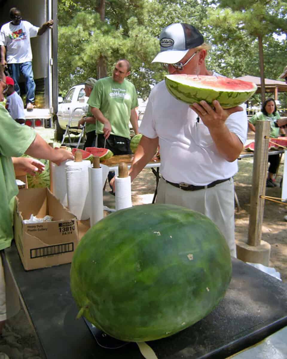 Arkansas Grows the Best: Big in Hope, Sweet in Cave City - Arkansas Strong